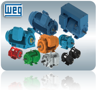 Weg - LM Process